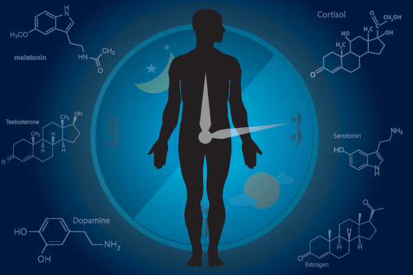 Hypercortisolismus | zertifizierte Online CME-Fortbildung für Ärzte ...